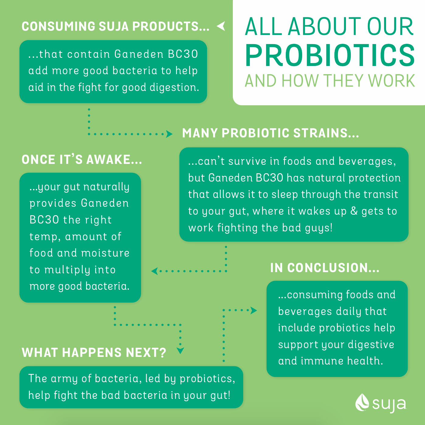 Probiotics for Your Digestive System | Why You Need Them | Suja Juice ...