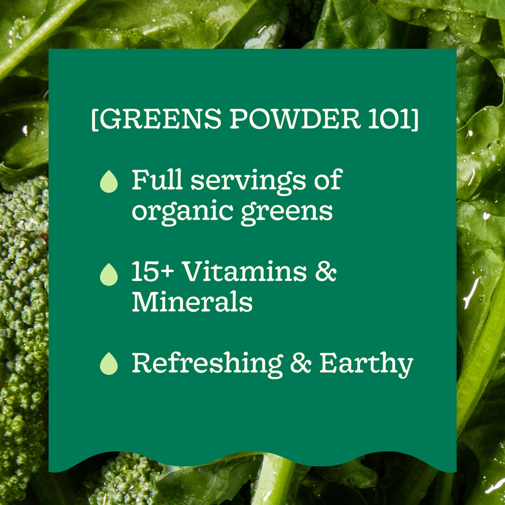 Organic Greens Powder Trial Pack | Suja Organic