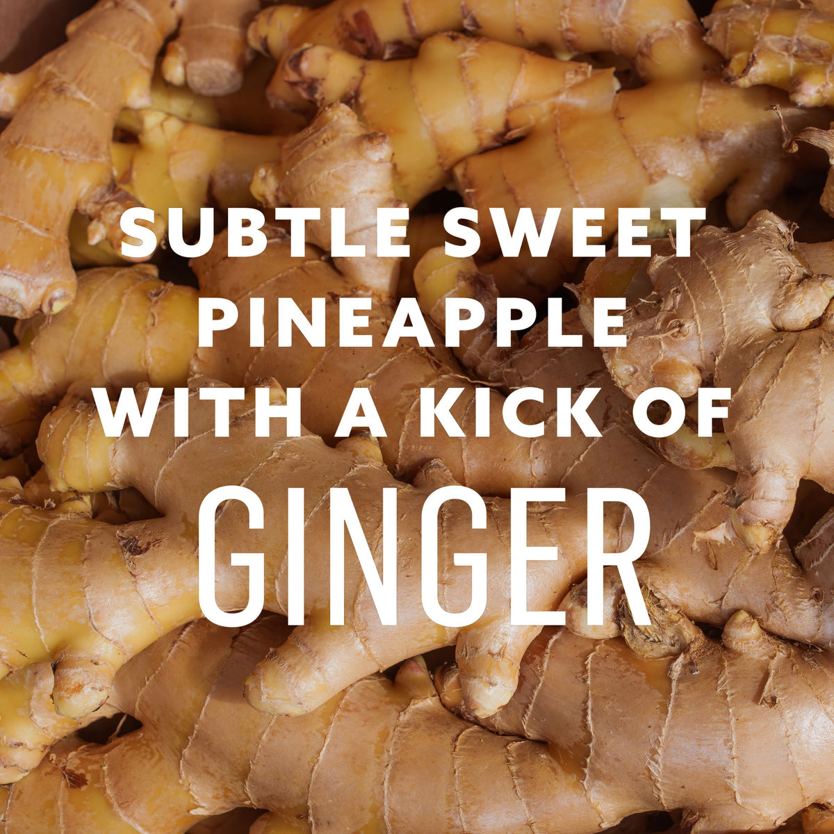 Immunity Defense Shot | Wellness Shots | Suja Organic