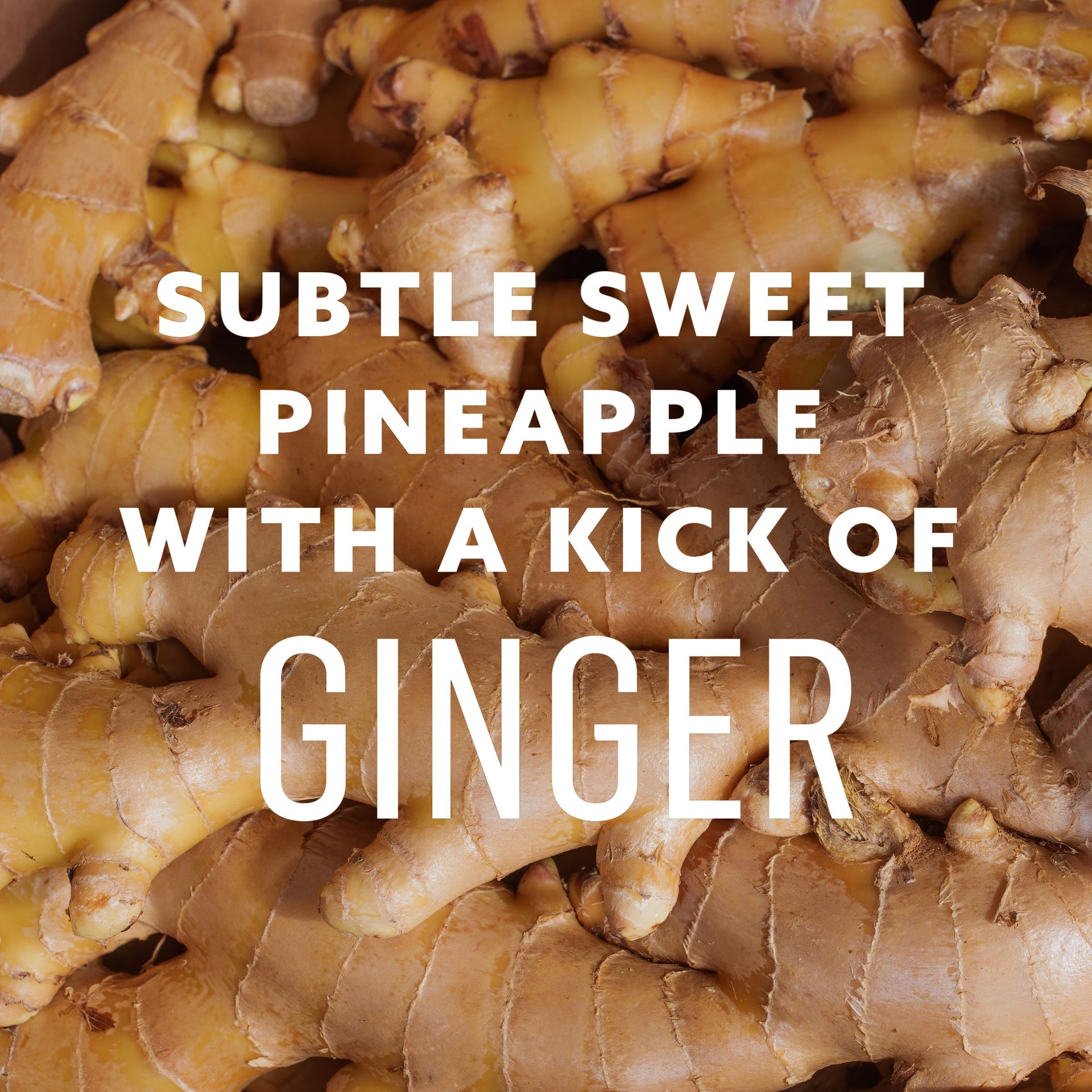 Immunity Defense Shot | Wellness Shots | Suja Organic