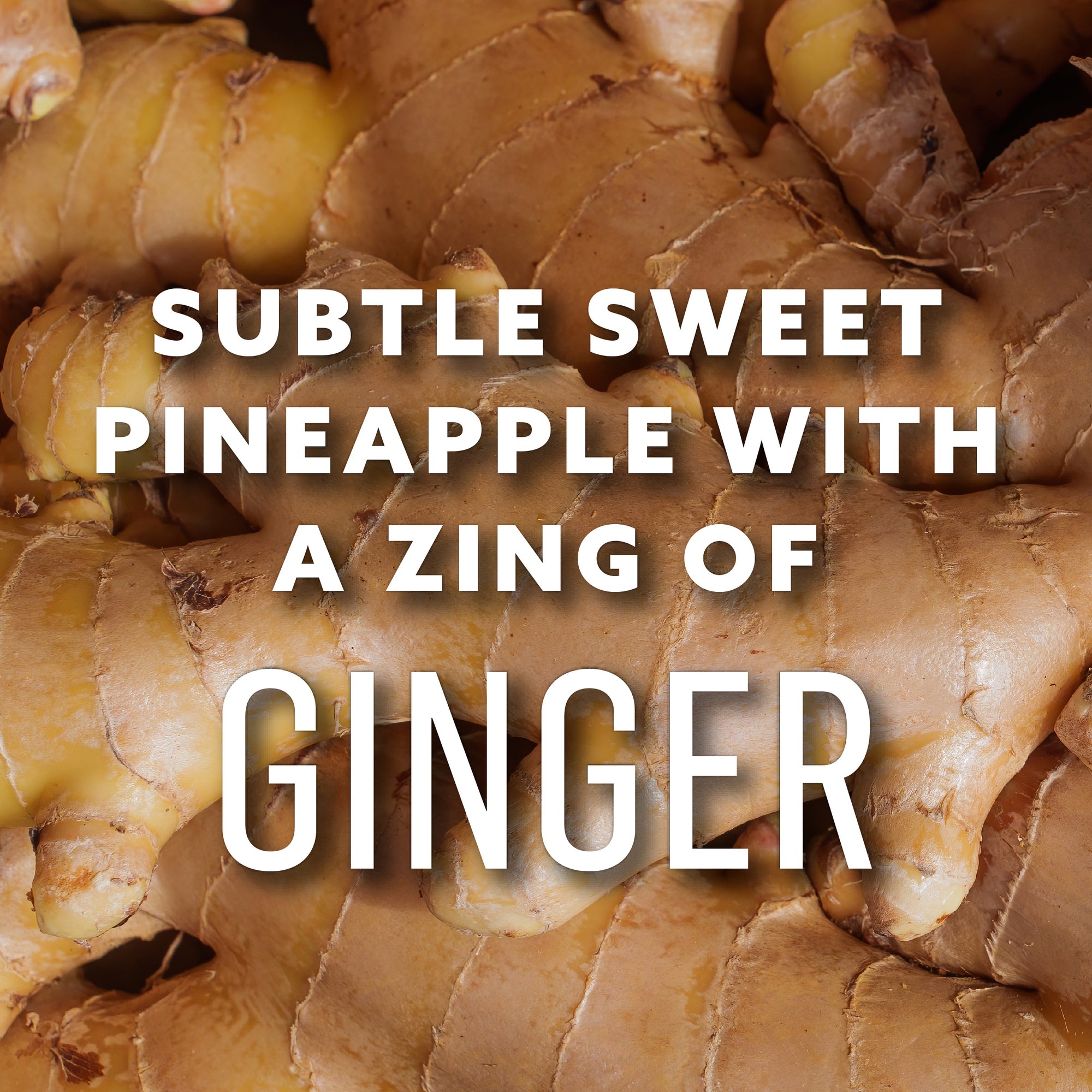 Digestion Shot | Wellness Shots | Suja Organic